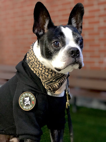 KiloNiner Mini Dog & Crossbones Patch – Green Beret