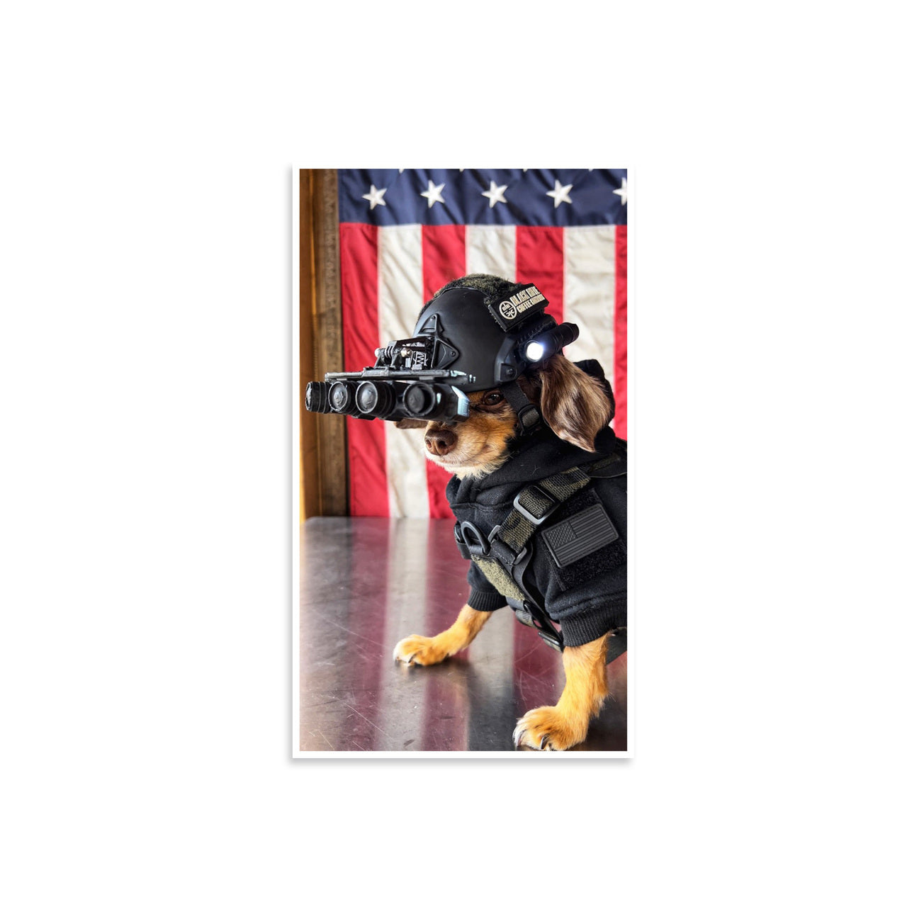 Tactical Taz NODS Sticker – Green Beret